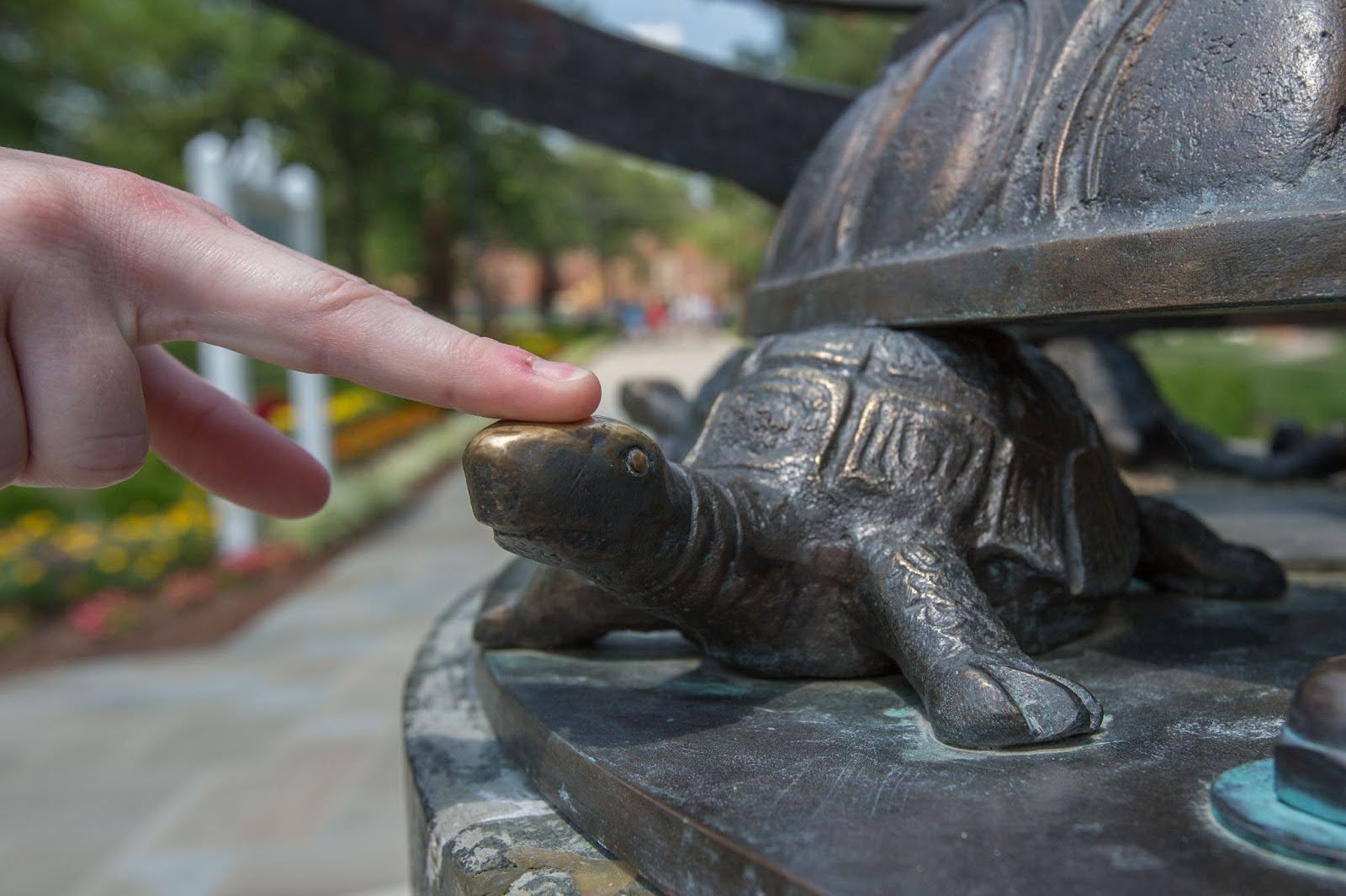 Love, Honor, and Traditions: The Traditions To Know At Miami | Meet ...