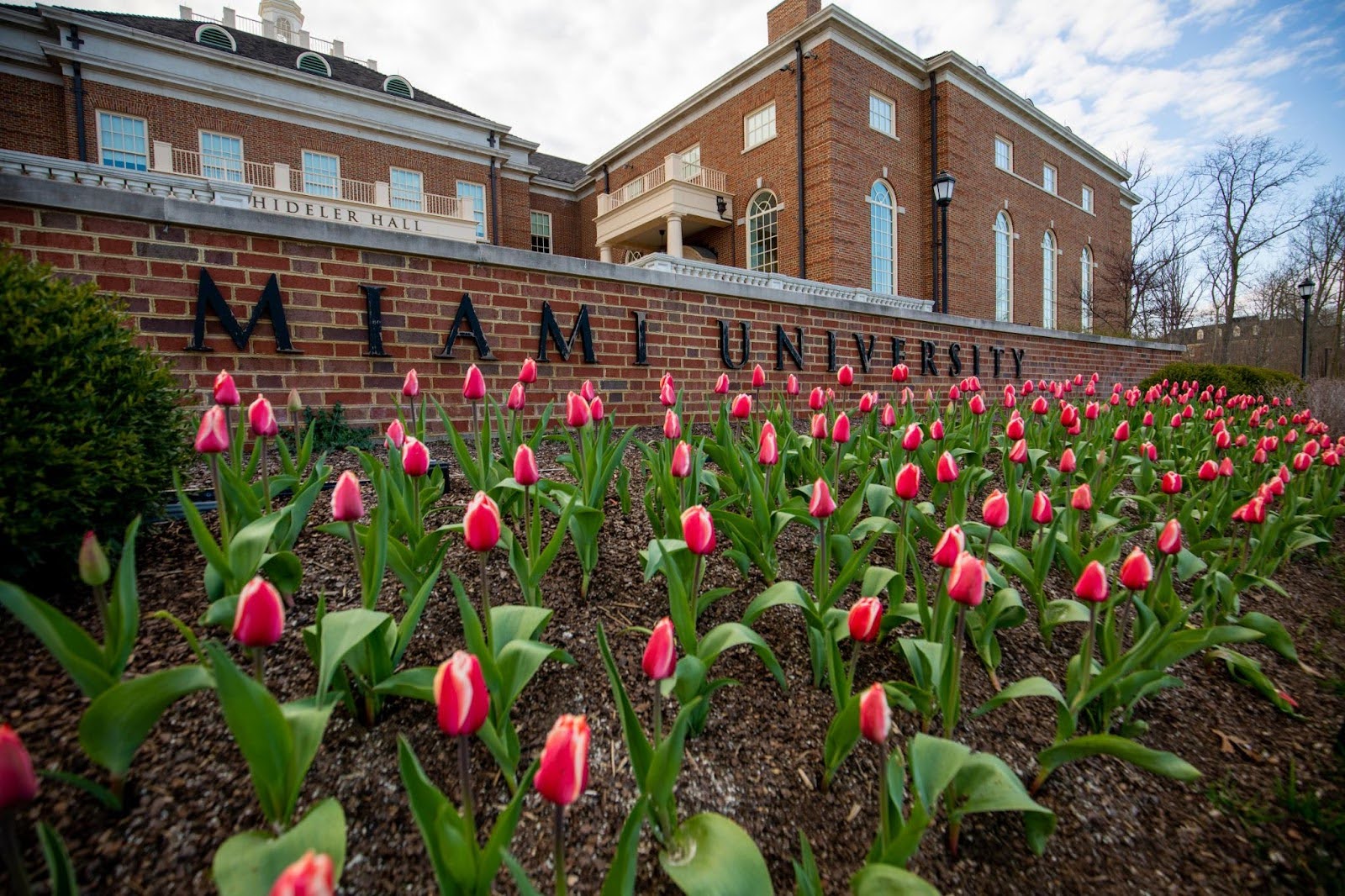Miami University’s Golden Hour, Every Hour | Meet Miami University