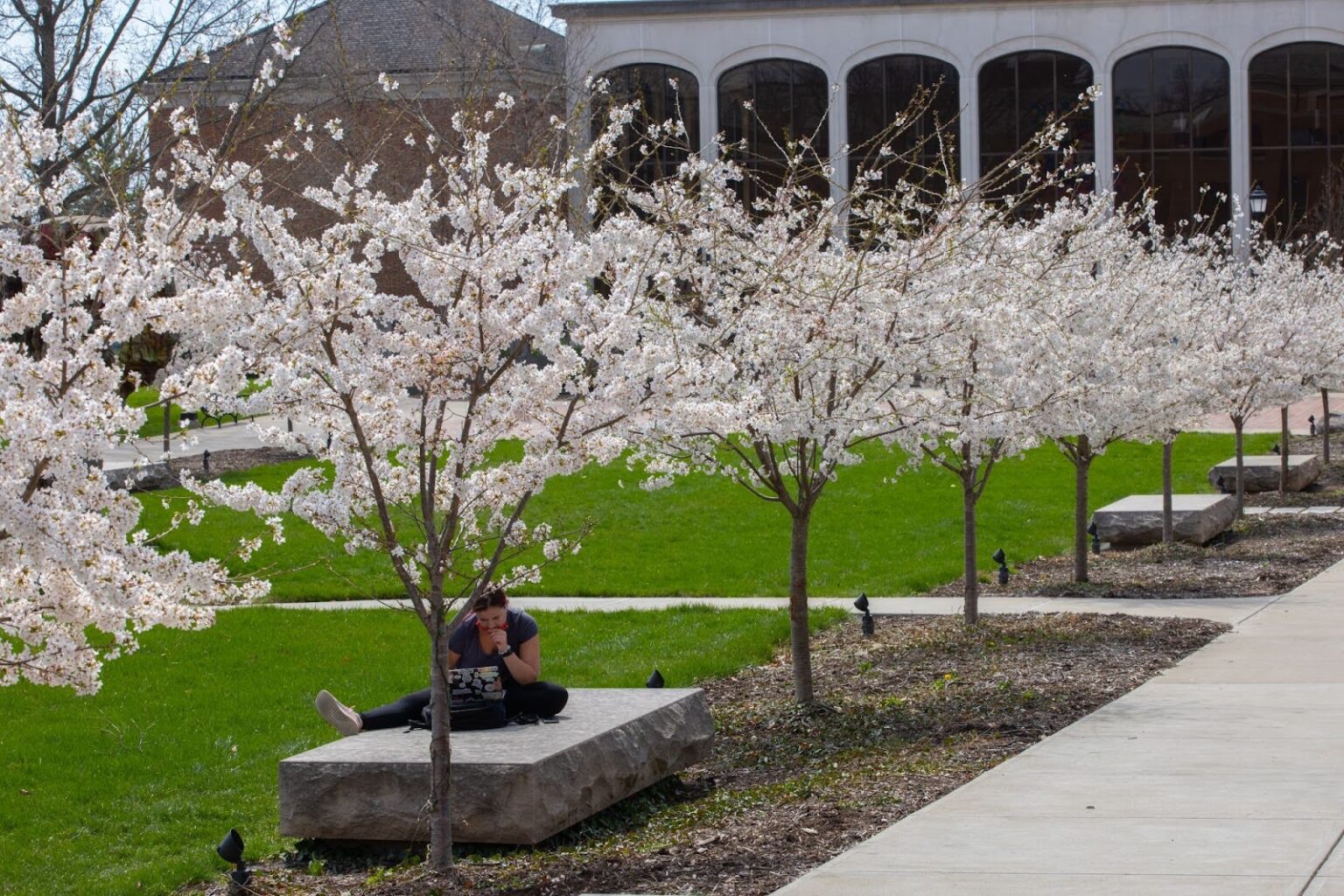 Miami University’s Golden Hour, Every Hour | Meet Miami University