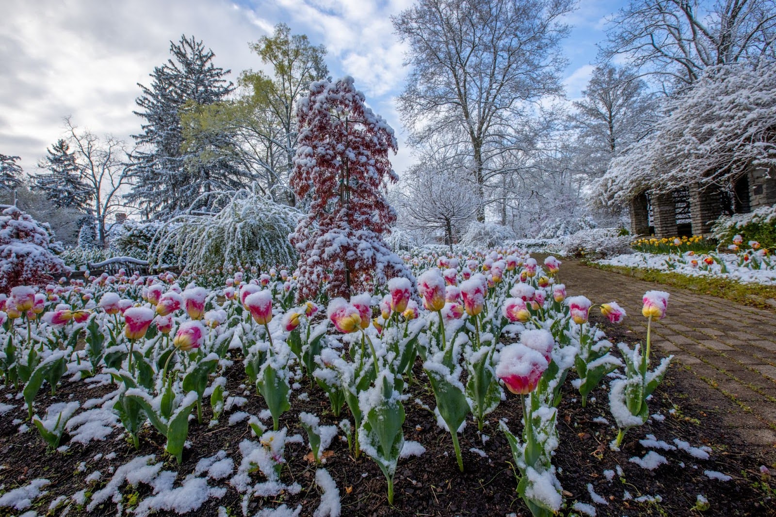 Miami University’s Golden Hour, Every Hour | Meet Miami University