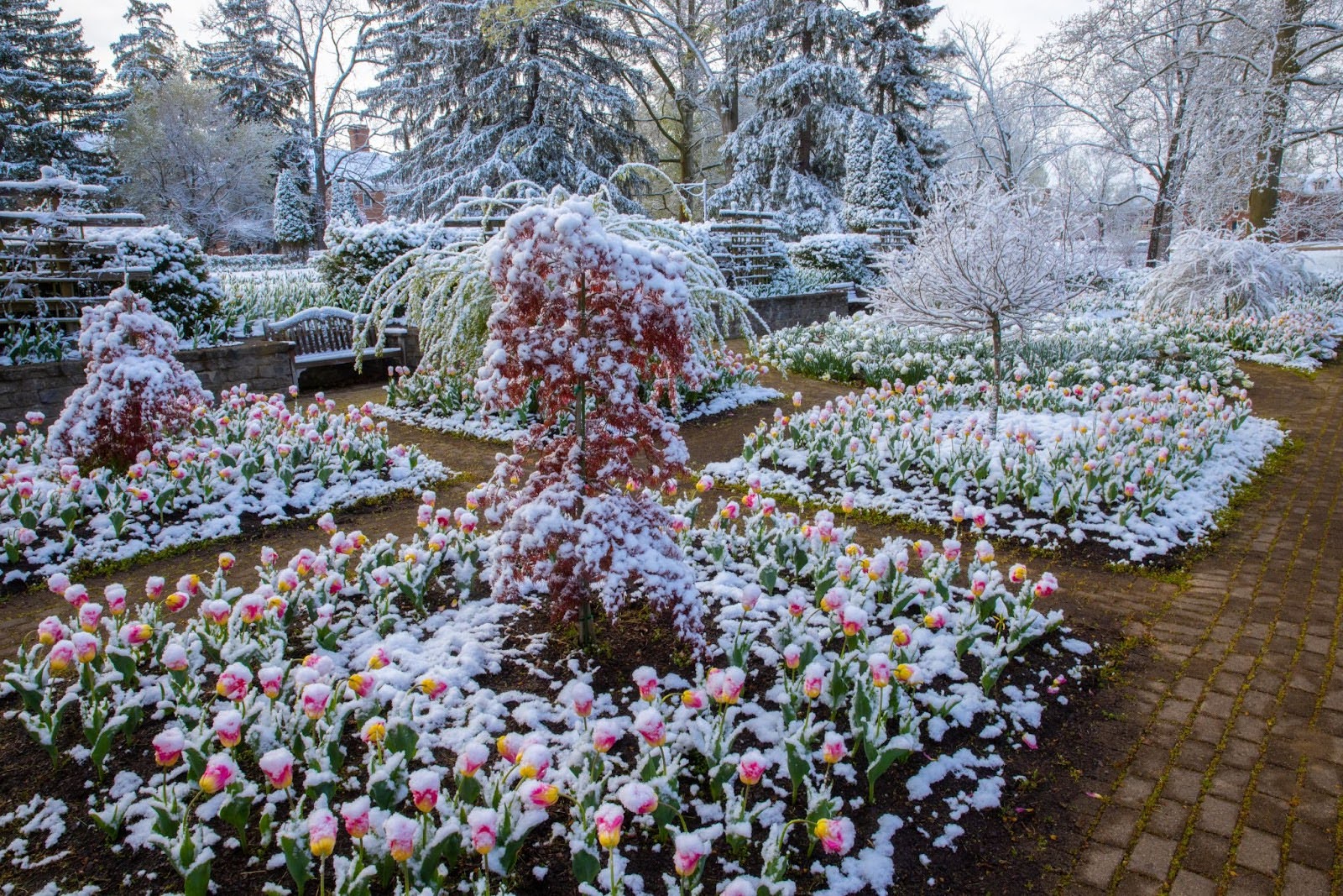 Miami University’s Golden Hour, Every Hour | Meet Miami University