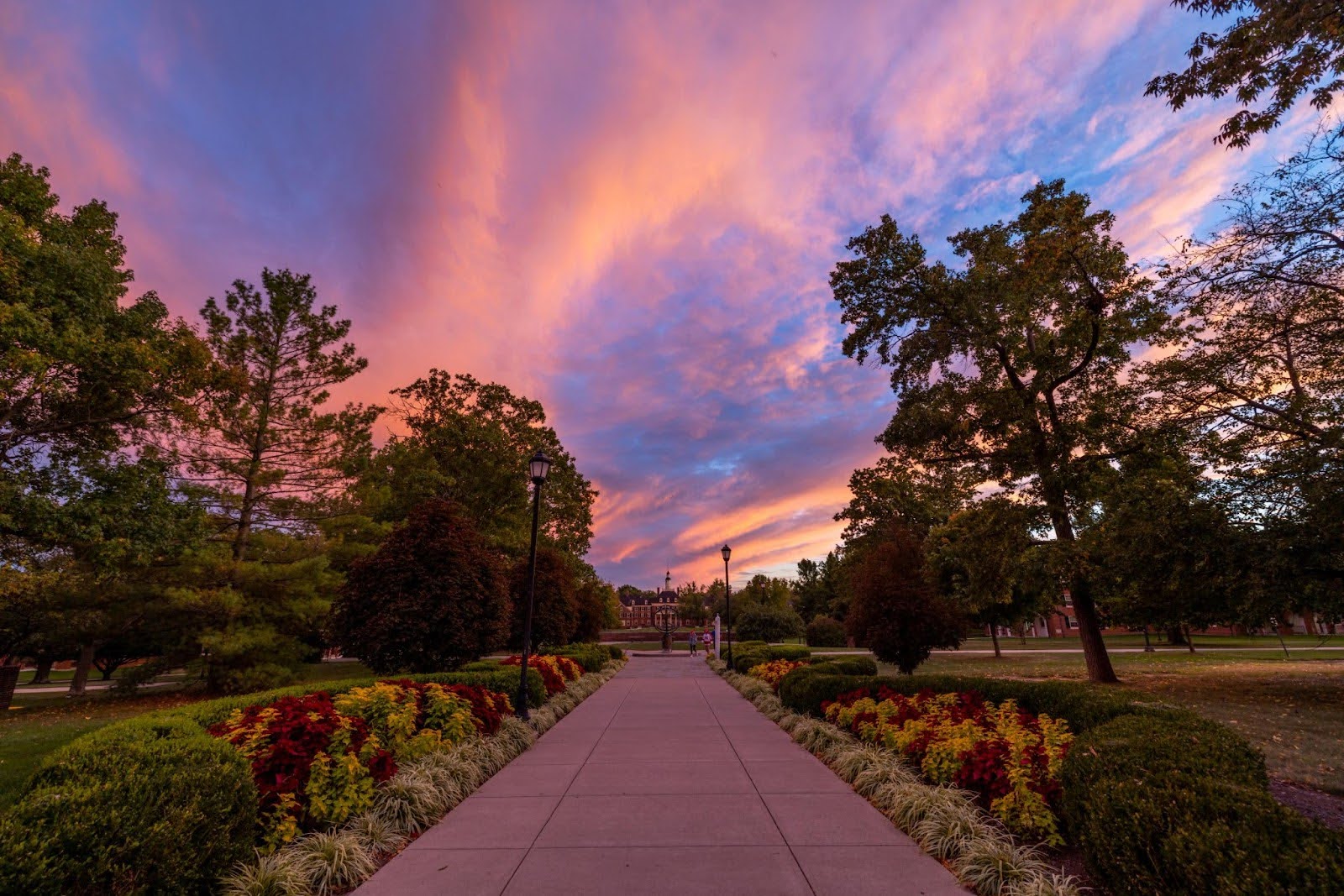 Miami University’s Golden Hour, Every Hour | Meet Miami University